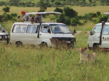 Memorable 8 Days 7 Nights Masai Mara, Lake Nakuru, Lake Naivasha with Amboseli National Park ...