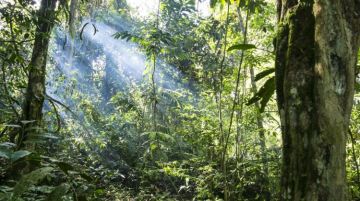 Best 3 Days Medellin, Rio Verde De Los Henaos with Vereda Manzanare ...