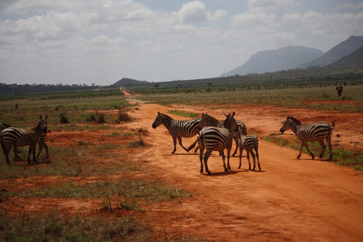 Kenya Tour Place | Best Tourist Place to visit in Kenya | HelloTravel