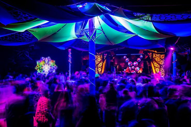 Luminate Festival 2020 in Canaan Downs New Zealand, photos, Music ...