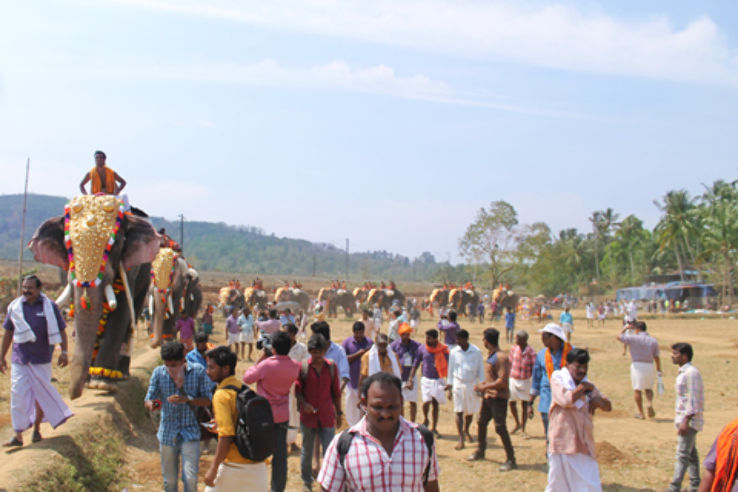 Uthralikavu Pooram 2020 in Sree Ruthira Mahakalikavu Temple India ...