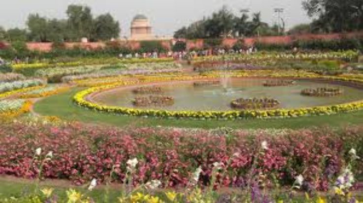 Delhi flower show 2024, India - Venue, Date & Photos