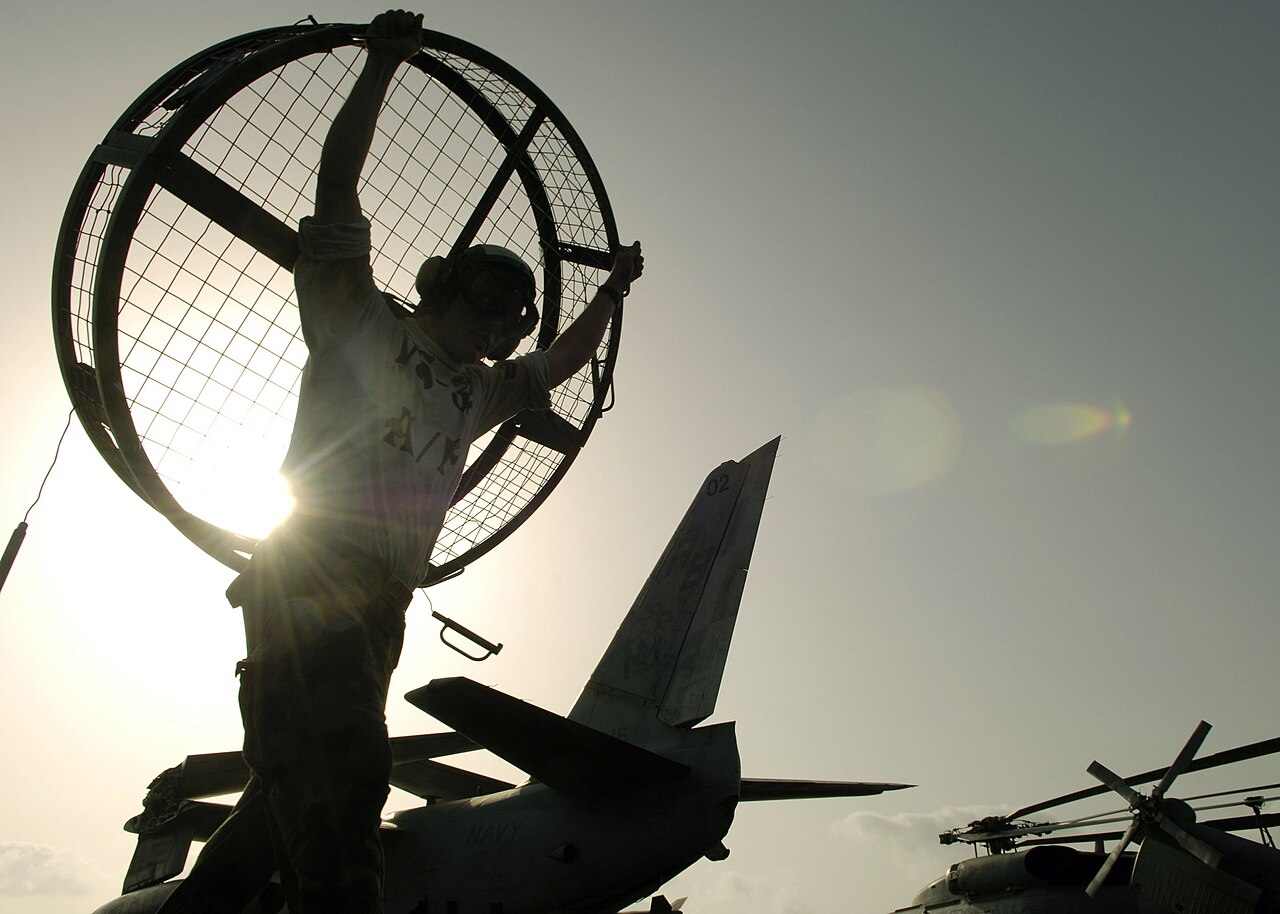 Why a Net or Mesh Is Not Used to Protect Aircraft Engines? - FlapOne ...