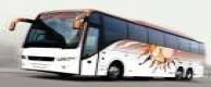 Shama Travels | Travel Agency and Tour Operator in pune, India