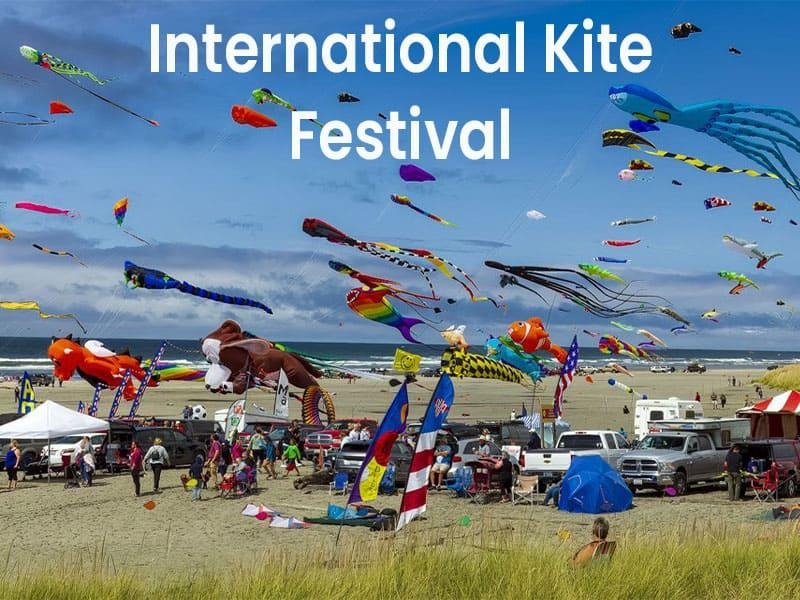 Images From The International Kite Festival In India The Eye Mangaluru
