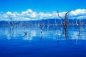 Manyuchi Dam, Zimbabwe - places to see in Manyuchi Dam, best time to ...