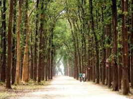 Sultanpur 2022, #33 places to visit in uttar pradesh, top things to do ...