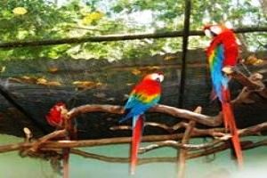 Trinidad and Tobago tours - places to see in Trinidad and Tobago, best ...