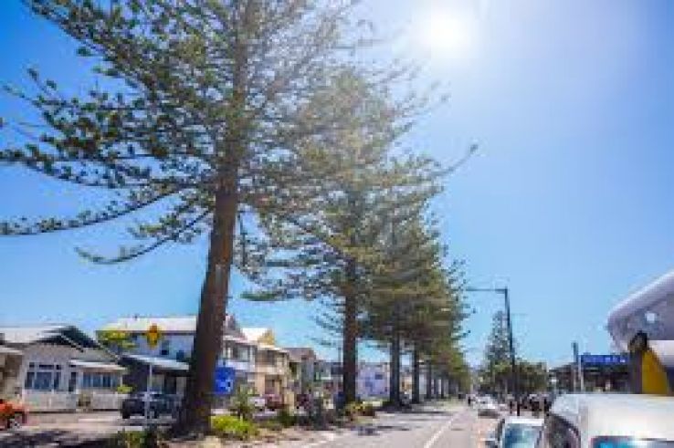 Invercargill 2021, #3 places to visit in southland, top things to do ...