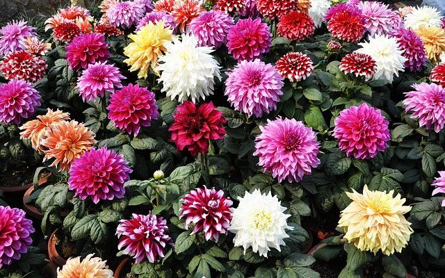 India Tour Place | Best Tourist Place to visit in India | HelloTravel