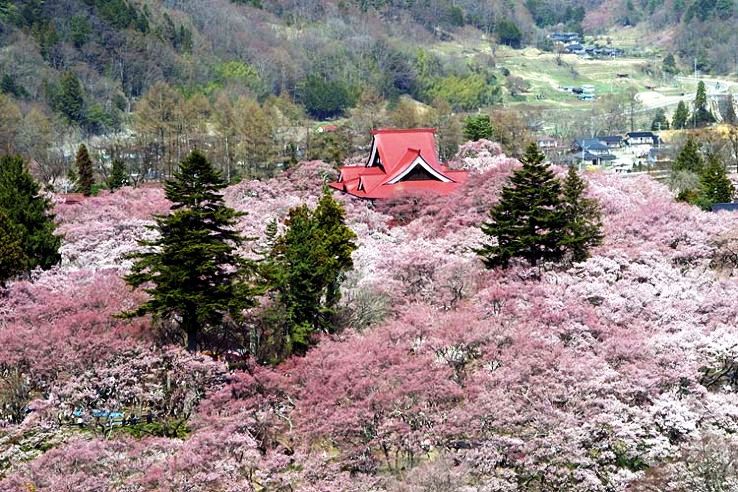 Ina Tourism (2025) Japan - Best Places to Visit in Ina, Ina Travel ...