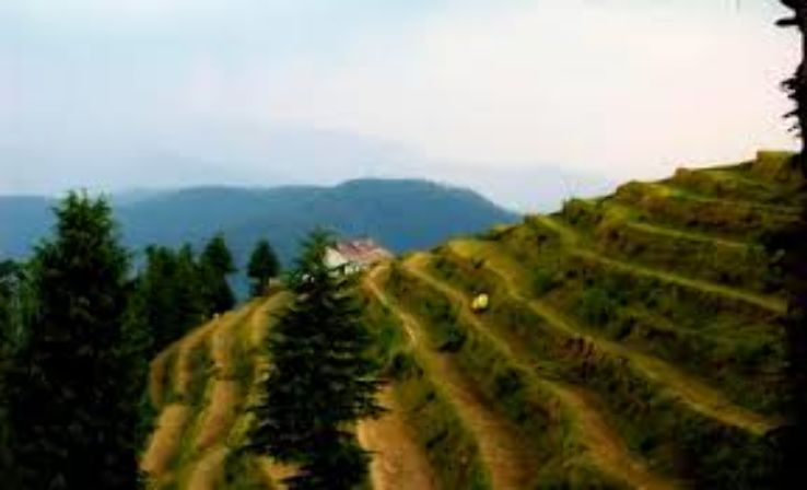 Fagu Tourism (2024) India - Best Places to Visit in Fagu, Fagu Travel ...