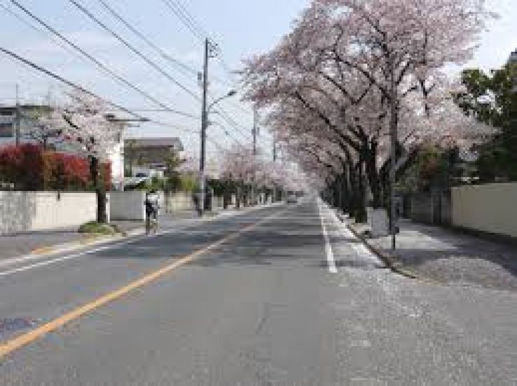 Matsudo Tourism (2025) Japan - Best Places to Visit in Matsudo, Matsudo ...