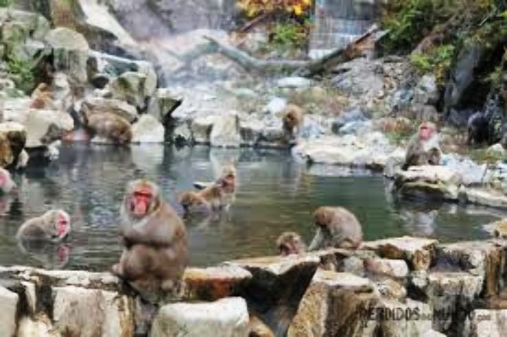 Chino 2021, #2 places to visit in nagano prefecture, top things to do ...