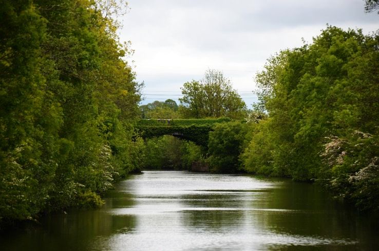 Shannon 2021, #1 places to visit in county clare, top things to do ...