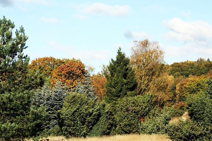 Denmark Tour Place | Best Tourist Place to visit in Denmark | HelloTravel