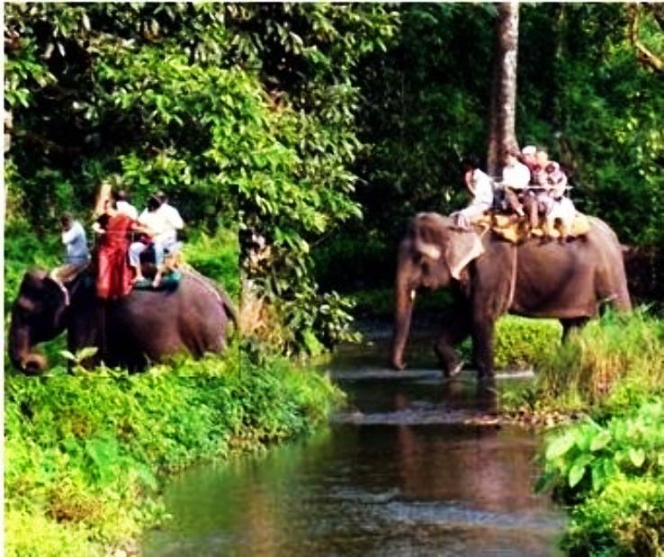Dooars 2021, #11 places to visit in west bengal, top things to do ...