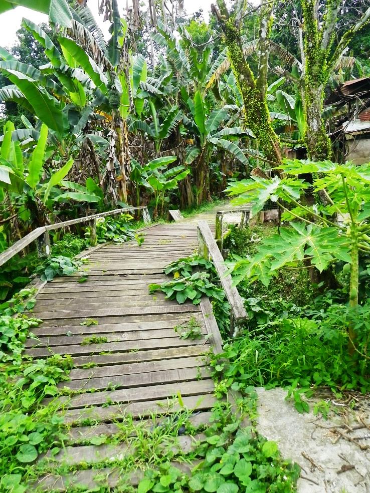 Limbang 2022, #6 places to visit in sarawak, top things to do, reviews ...