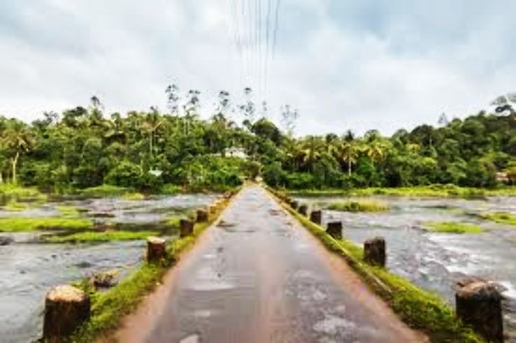 Periyar 2021, #11 places to visit in kerala, top things to do, reviews ...