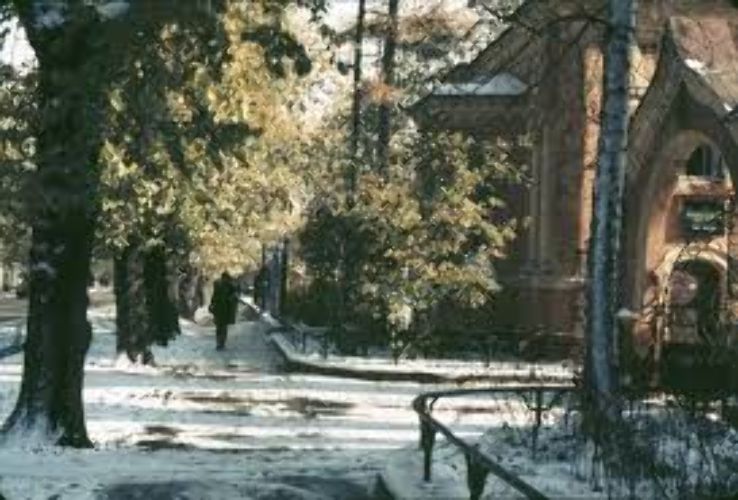 Siberia 2021, places to visit in siberia, top things to do, reviews ...