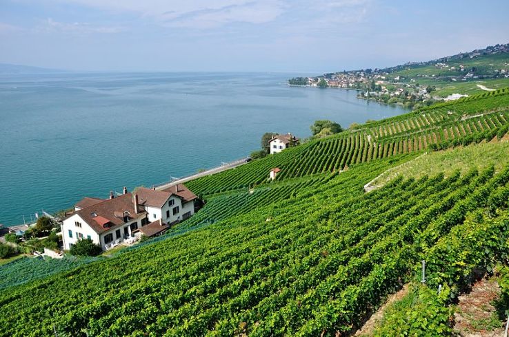 Vaud 2021, places to visit in vaud, top things to do, reviews, best ...