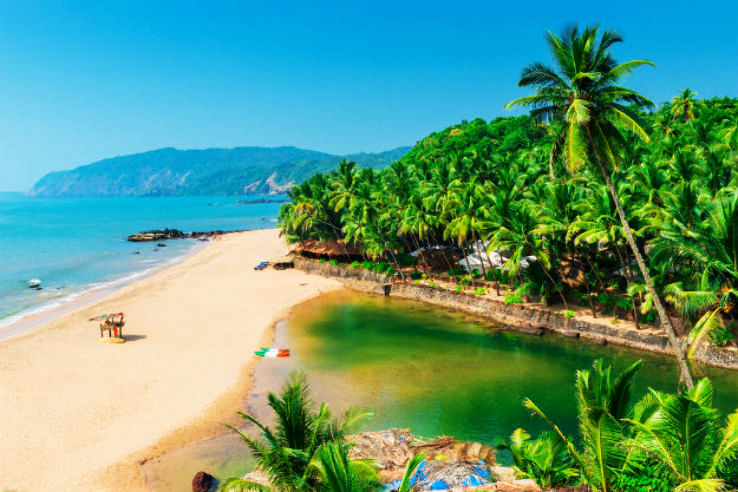 Experience The Best Of Goa In Winters - Hello Travel Buzz