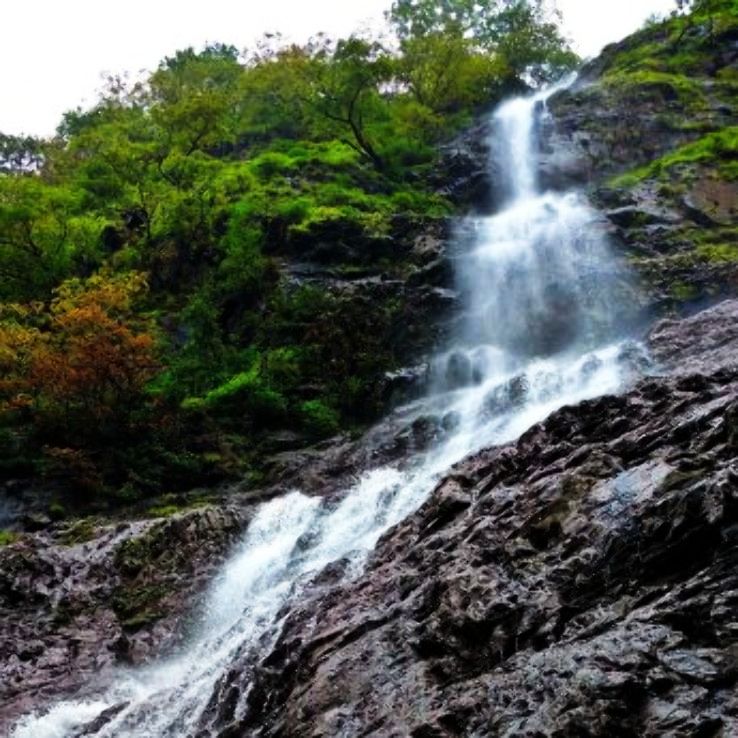 Besides Beaches, Goa Also Has Some Striking Waterfall, Check Out ...