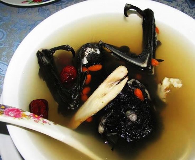 15 Weirdest Dishes around the World - Hello Travel Buzz