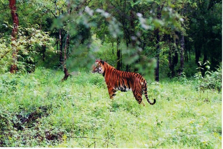 15 Must-See Destinations in Arunachal Pradesh - Hello Travel Buzz