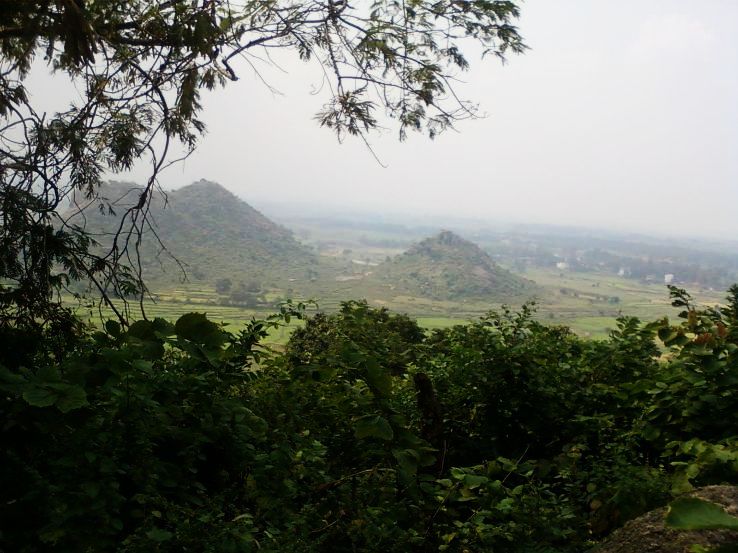 Top 3 national parks in Bihar - Hello Travel Buzz