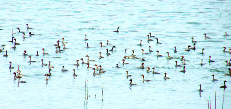 Top 7 places in Hisar - Hello Travel Buzz