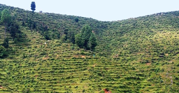 Top 5 places in Lohaghat - Hello Travel Buzz