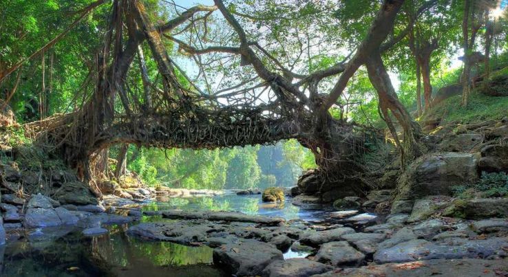 Allure The Beauty Of Shillong, The Scotland Of India - Hello Travel Buzz