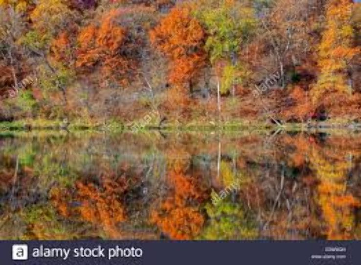 Fleming Park, missouri, United States Of America - Top Attractions ...