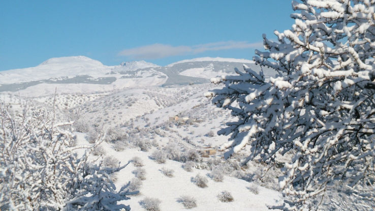 snow view , nainital, India - Top Attractions, Things to Do ...