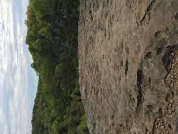 Ruffner Mountain Nature Preserve 2023, #22 top things to do in ...