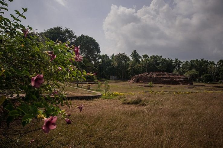 Konaseema 2023, #12 places to visit in andhra pradesh, top things to do ...