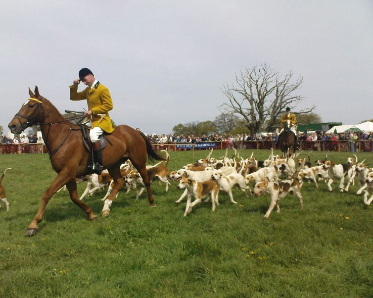 Berkeley Hunt, berkeley, United Kingdom - Top Attractions, Things to Do ...