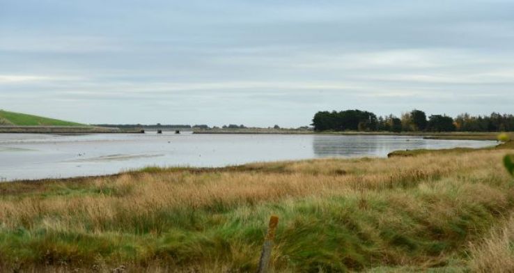 Rogerstown Estuary 2022, #3 top things to do in malahide, county dublin ...
