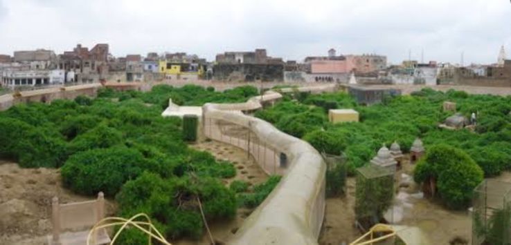 Vrindavan 2020, #4 places to visit in uttar pradesh, top things to do ...