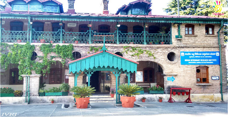 Mukteshwar 2021, #20 places to visit in uttarakhand, top things to do ...