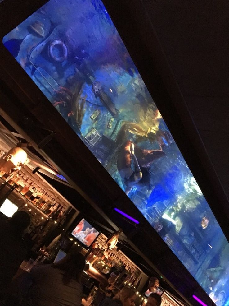 The Dive Bar, Sacramento 2023, #8 top things to do in sacramento ...