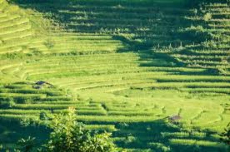 Ilam 2021, #4 places to visit in eastern development region, top things ...