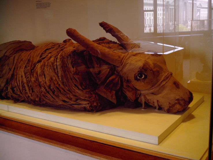 Mummification Museum 2021 9 Top Things To Do In Luxor Luxor 
