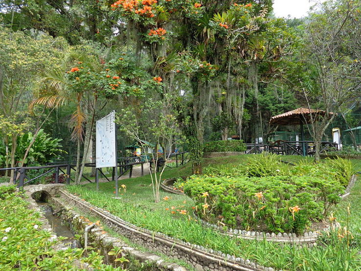 Chorros de Milla Zoo 2021, #1 top things to do in merida, merida ...