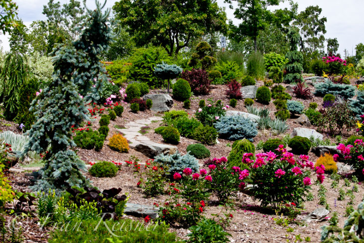 Connaught Hill Park 2021, #3 top things to do in prince george, british ...