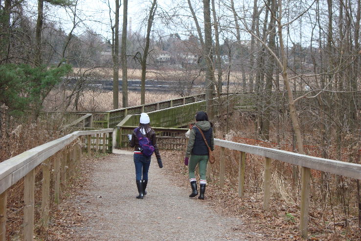 Rattray Marsh Conservation Area 2021, #8 top things to do in ...