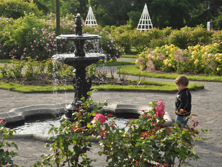 Delaware ParkFront Park System 2021, #1 top things to do in buffalo ...