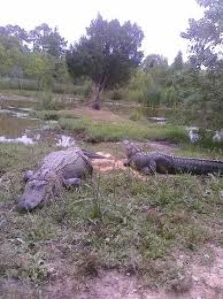 Moss Point 2021, #1 places to visit in mississippi, top things to do ...