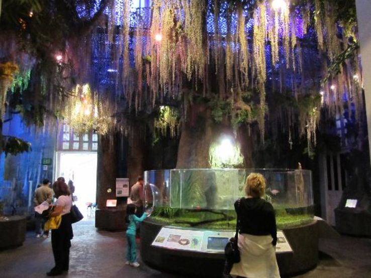 Audubon Butterfly Garden and Insectarium 2021, #2 top things to do in ...